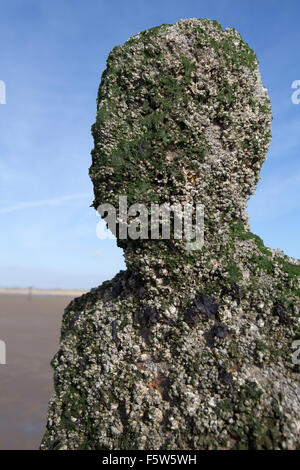 Crosby Beach, England. Picturesque view of the Antony Gormley, Iron Men ...