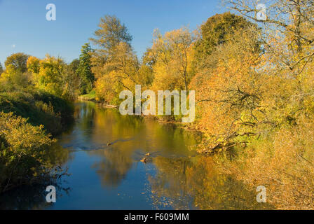 Calapooia River, Linn County, Oregon Stock Photo - Alamy