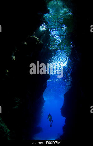Diving Leru Cut Stock Photo - Alamy