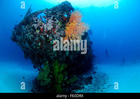 The coral encrusted stern of the "cross wreck", a Japanese coaster sunk ...