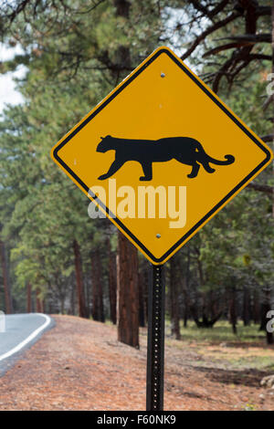 predator, warning sign, national park, iSimangaliso Wetland Park ...