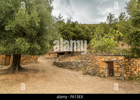 , stone wall in the Fango Valley, France, Corsica, Manso Stock Photo ...