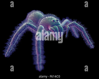 SEM style illustration of a spider Stock Photo - Alamy