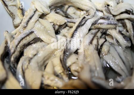 anchovy fillets marinated in small bowl Stock Photo - Alamy