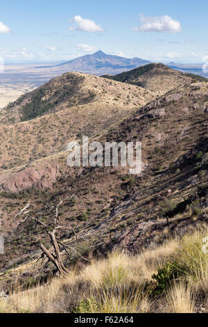 The Huachuca Mountains and foothills, southern Arizona Stock Photo - Alamy