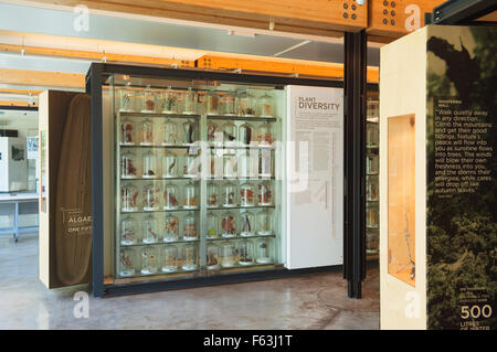 Exhibition at the John Hope Gateway Visitor Centre at the Royal Botanic ...