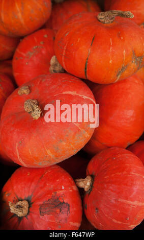 Sunshine kabocha squash Stock Photo - Alamy
