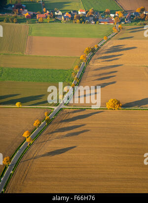 Street crossing in X-shape, Allee in X-shape, X, right-angled ...