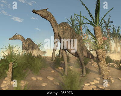 Two Saurolophus dinosaurs walking among onychiopsis and williamsonia ...