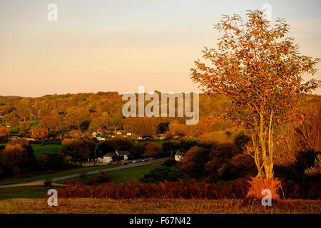 Linwood, New Forest, UK - 25 October 2015: Visitors gathered around a ...
