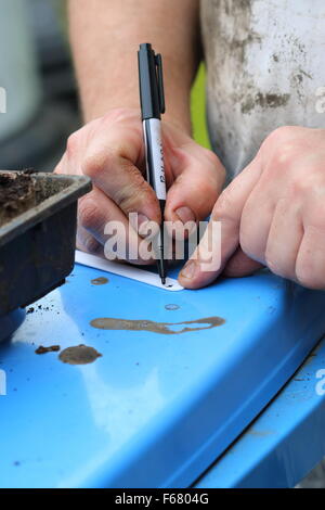 Hand writing sign Work At Home, Business showcase Freelance job working ...