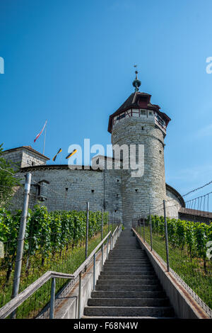 Munot Castle in Schaffhausen, Switzerland Stock Photo - Alamy