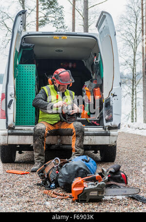 Arborists taking down trees Stock Photo - Alamy