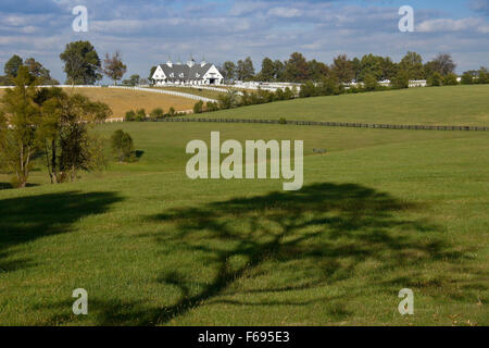 Kentucky, Lexington, Manchester Farm, Thoroughbred horse breeding farm ...
