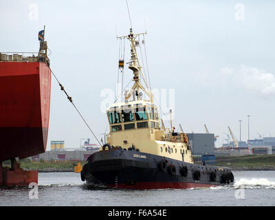 The Zeeland (IMO 8117483) and Lilac Victoria (IMO 9589815) are ...