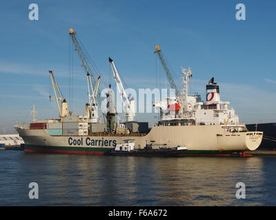 The Crown Ruby, a 1997-built container ship and oil tanker with IMO ...