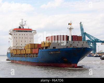The HANSE COURAGE is a container ship with IMO number 9318773 and ...