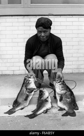 A photograph of Josephine Baker, the American-French performer and ...