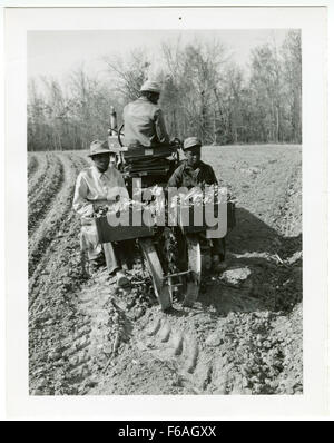 Copiah Coop, planting Stock Photo - Alamy