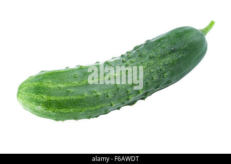 One cucumber isolated on white background Stock Photo - Alamy