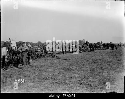 Halfway through the rouse and turnout competition, Courcelles, Halfway ...