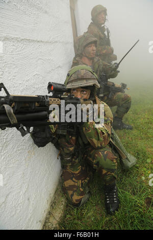 4th Mechanized Brigade exercise Stock Photo - Alamy