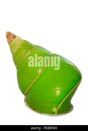 Beautiful Manus Island, Papua New Guinea Stock Photo - Alamy