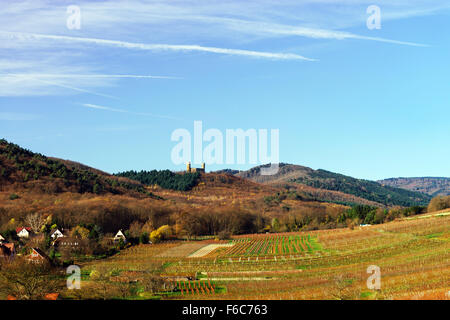 Andlau castle panoramic view through the vineyard, France Stock Photo ...