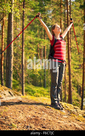 Stone pine forest on a sunny day, Aegean Region, Turkey Stock Photo - Alamy