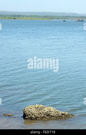 Rock of coral in terekhol river, pernem, goa, india, asia Stock Photo ...