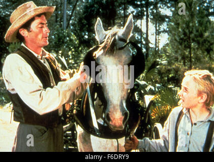 THE YEARLING, Claude Jarman, Jr., 1946 Stock Photo - Alamy