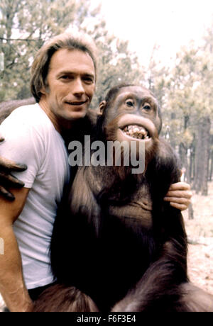 Clint Eastwood, Clyde / Every Which Way But Loose 1978 directed by ...