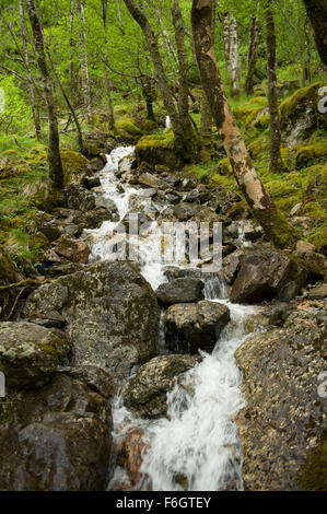 The view flowing down the Water of Nevis towards Achriabhach from the ...