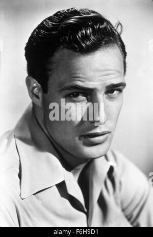 THE MEN, Marlon Brando, 1950 Stock Photo - Alamy