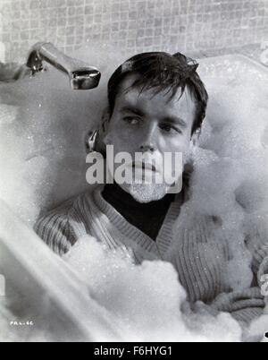 1964, Film Title: PINK PANTHER, Director: BLAKE EDWARDS, Studio: UA ...