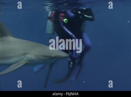 OPEN WATER (2004) DANIEL TRAVIS, BLANCHARD RYAN OPWT 001-004 Stock ...