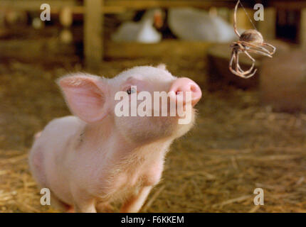 CHARLOTTE'S WEB, Charlotte the spider, Wilbur the pig, 1973 Stock Photo ...