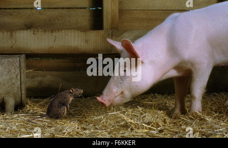 CHARLOTTE'S WEB, Charlotte the spider, Wilbur the pig, 1973 Stock Photo ...