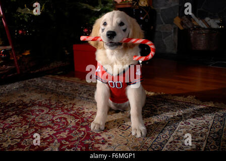 RELEASE DATE: November 24, 2009. MOVIE TITLE: Santa Buddies. STUDIO ...