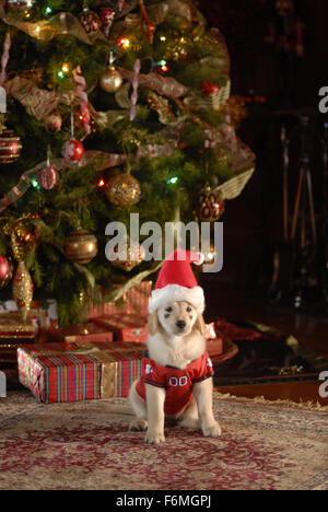 RELEASE DATE: November 24, 2009. MOVIE TITLE: Santa Buddies. STUDIO ...