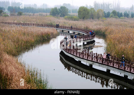 Linyi, Shandong, CHN. 14th Nov, 2015. Linyi, CHINA - November 14 2015 ...