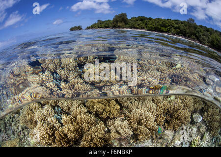 A coral reef flat at the surface of the ocean at Swan Islands, a Stock ...