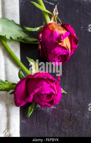 Wilted roses on grey background Stock Photo - Alamy