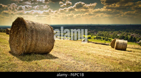 Hay Making on Lane Head Farm Stock Photo - Alamy