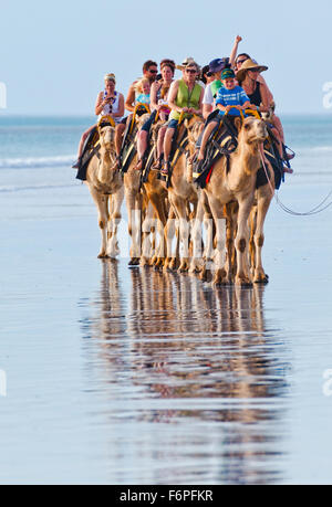 Australia, Western Australia, Broome, camel ride at Cable Beach Stock ...
