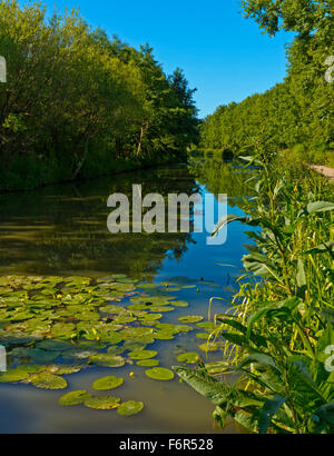 The Nottingham Canal at Awsworth Nottinghamshire England UK built 1796 ...