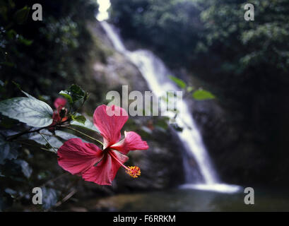The Biausevu waterfall (also known as Savu Na Mate Laya Falls) near ...