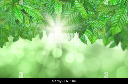 3D render of leaves against a defocussed background Stock Photo - Alamy