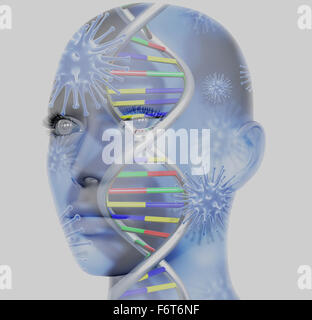 Female Surface Anatomy Stock Photo - Alamy