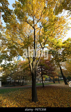 Fall in german park Stock Photo - Alamy